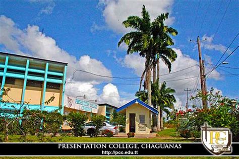 The History Of Our College