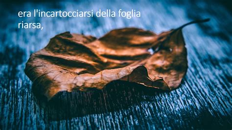 Spesso Il Male Di Vivere Ho Incontrato Di Montale Youtube