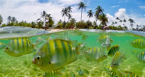 Os Melhores Destinos Do Nordeste Para As F Rias Perfeitas