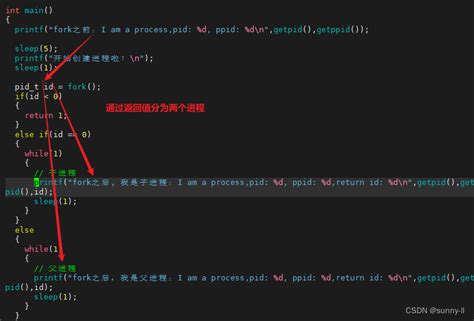 【linux系统编程】如何创建进程（什么是fork函数？进程创建的原理是什么？） 利用linux的功能调用fork 创建一个新进程 csdn博客
