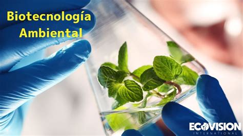 Quais As Principais Funções Da Biotecnologia Para O Meio Ambiente