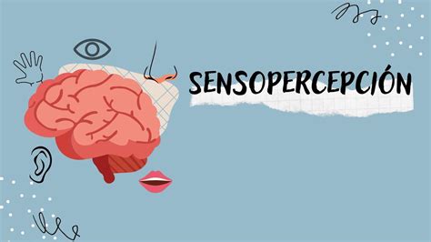 Senso percepción Vanessa Reyes uDocz