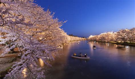 11 Best Places To See Cherry Blossoms In Japan Japan Cheapo
