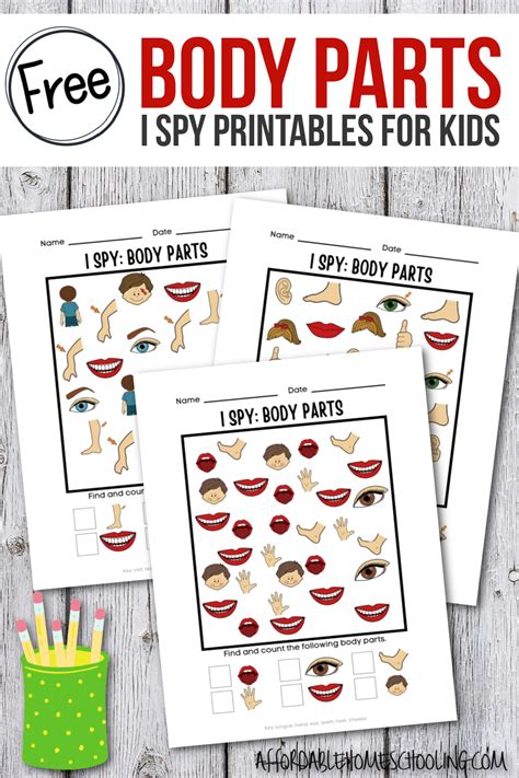Free Printable I Spy Body Parts Worksheets