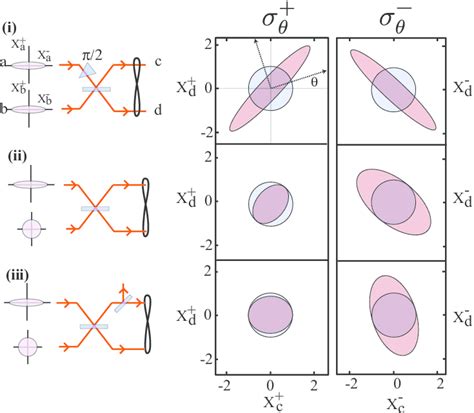 different continuous variable entangled states i two squeezed light download scientific