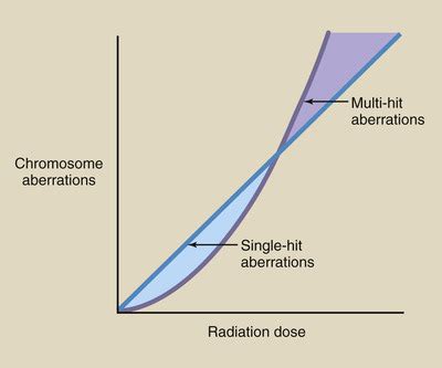 Chapter 33 Deterministic Effects Of Radiation Flashcards Quizlet