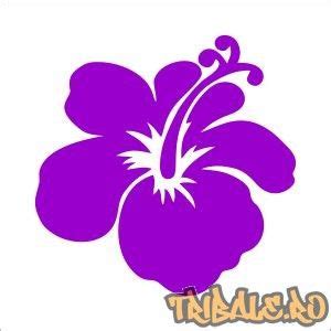 Sticker Hibiscus Trandafir Chinezesc Hibiscus Hibiscus Flowers