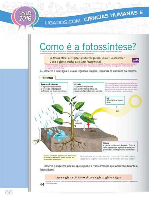 A Figura Abaixo é Um Esquema Simplificado Da Fotossíntese BRUNIV