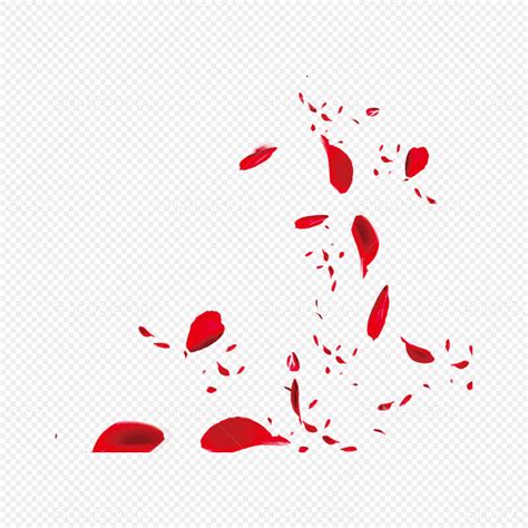 漂浮的玫瑰花瓣图片素材免费下载 觅知网