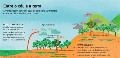Biboca Ambiental Solo E Gua