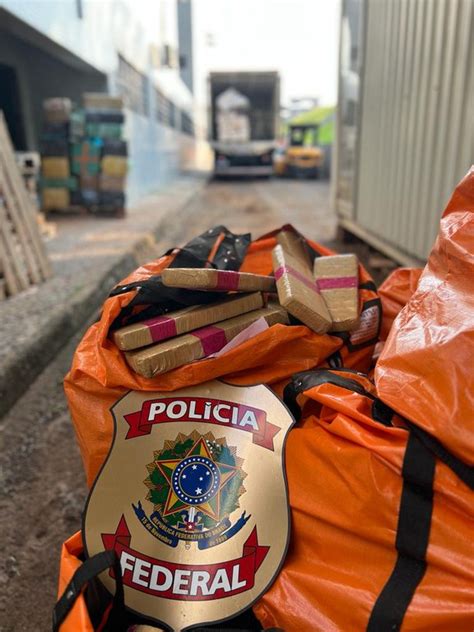 PF destrói mais de oito toneladas de entorpecentes no Paraná Polícia