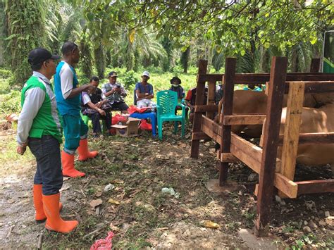 Tingkatkan Mutu Petani Milenial Polbangtan Manokwari Rangkul