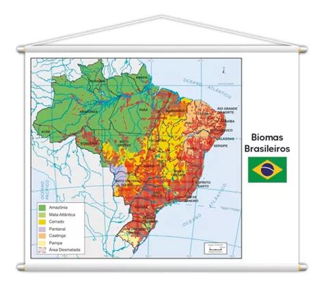 Banner Mapa Escolar Biomas Brasileiros Geografia 130x100cm