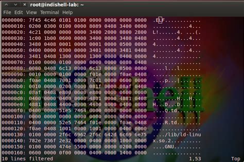 Using Vi Text Editor As Hex Editor Start With Linux Mannu Linux