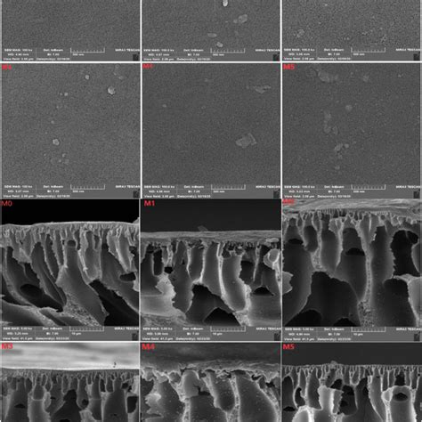 FE SEM Micro Graph Of Surface And Cross Sectional M 0 M 5