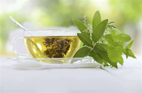 Beneficios Del T Verde Impresionantes Que Debes Conocer