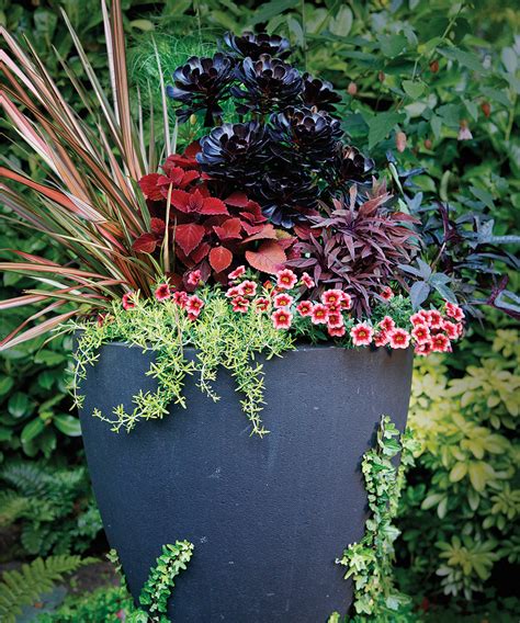 Gardening Ideas With Pots