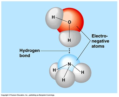 BioSynthesis Chapter 2 The Chemical Basis Of Life I Atoms Molecules