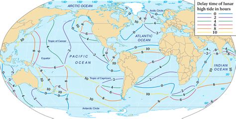 Intertidal Zone World Map
