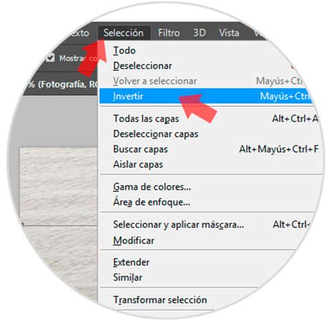 lettura noioso pubblico invertir seleccion photoshop scià abbastanza