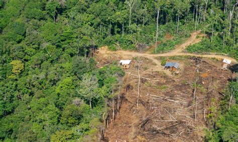 Alertas de desmatamento na Amazônia batem recorde em outubro