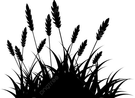 Schilf Gras Silhouette Schilf Gras Silhouette PNG Und Vektor Zum