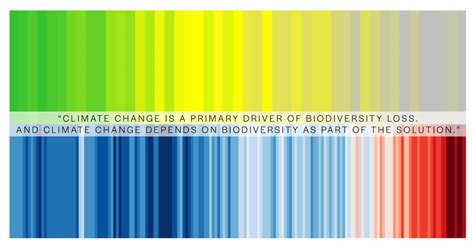What Does Biodiversity Mean Why Is Biodiversity Important