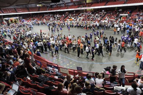 Relay For Life Of Northeastern Surpasses Goals News Northeastern