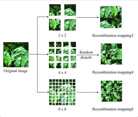 the feature decomposition and reorganization method for the image download scientific diagram