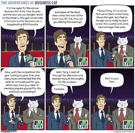 The Adventures Of Business Cat Wager Imgflip