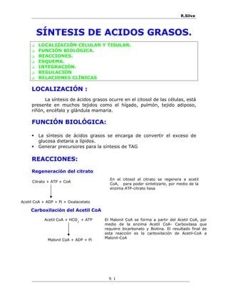 S Ntesis De Acidos Grasos Pdf