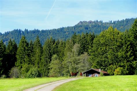 Leichte Wanderung Von Brandten Zum Schwellweiher Bei