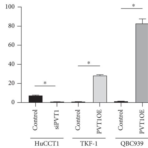 Effects Of LncRNA PVT1 On Cell Migration Of CCA A B Role Of PVT1 In