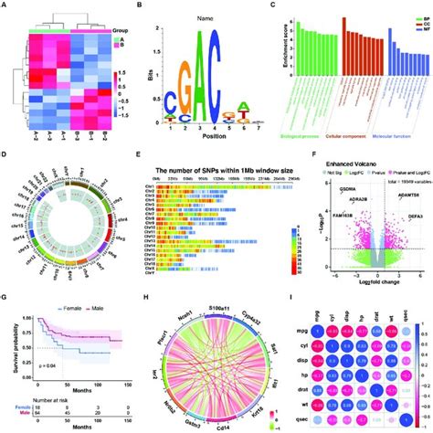 Examples Of The Most Commonly Used Functions In SRplot A Cluster