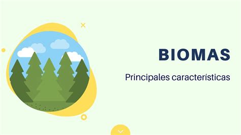 Biomas Clasificación Y Principales Características Youtube