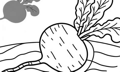 Coloriage de légumes à Télécharger ou à Imprimer gratuitement