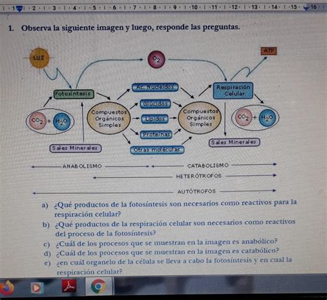 1 Observa la siguiente imagen y luego responde las preguntas a Qué