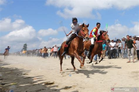 Pacuan Kuda Tradisional Gaya Gayo Antara News