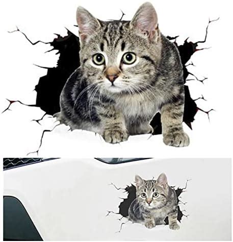 Amazon fr Wanfoou 3D Chat Décalcomanie Mignon Stickers Chat Chat