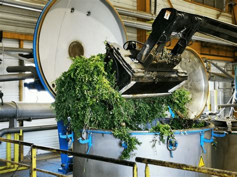 Les Huiles Essentielles D Finitions Et Modes De Production Herbarom