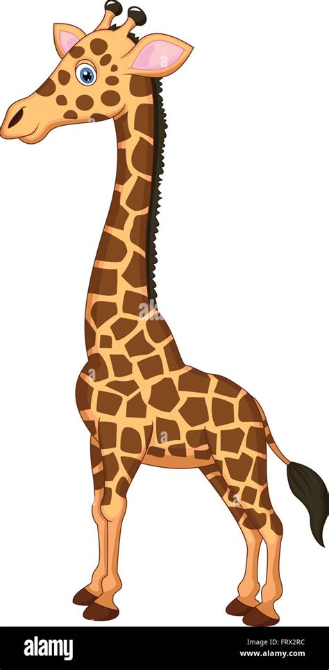 Cute Giraffe Cartoon Stock Vector Image Art Alamy