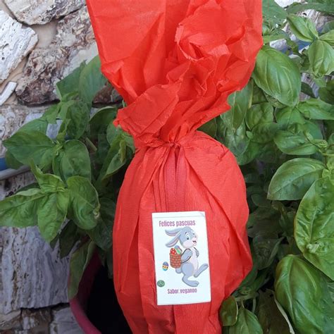 Sabor Vegano Huevo De Pascua Reviews Abillion