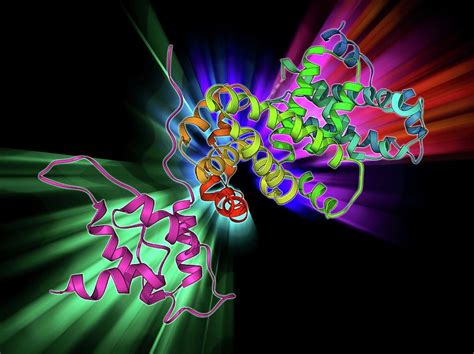 Sv40 Antigen And Tumor Suppressor Photograph By Laguna Design Pixels