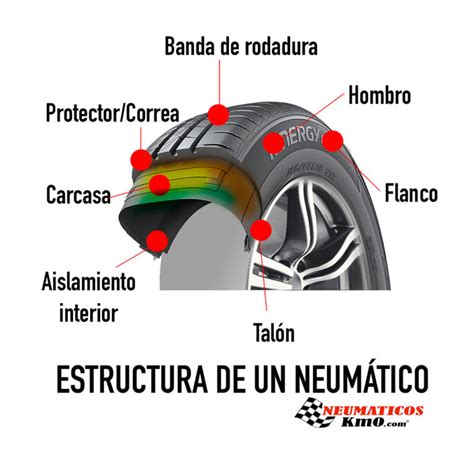 Qué partes componen la estructura de un Neumático