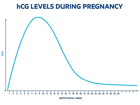 Serial Beta Hcg Test Informacionpublica Svet Gob Gt