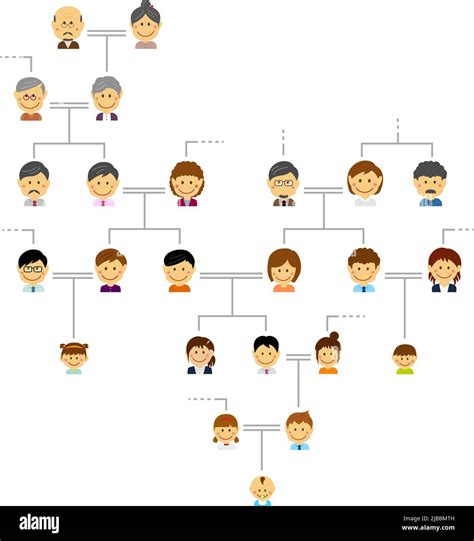 Árbol genealógico miembros de la familia ilustración vectorial