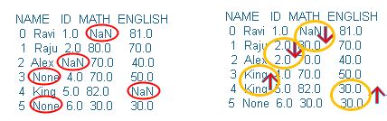 Python Pandas DataFrame Fillna To Fill NA Or NaN Values By Using Input