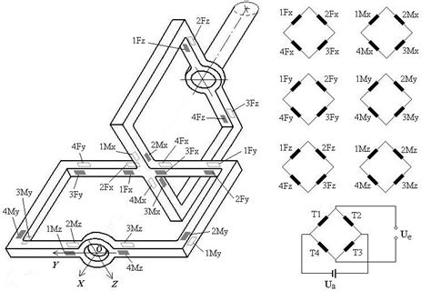 placement of strain gauges on the elastic element and the measuring download scientific diagram