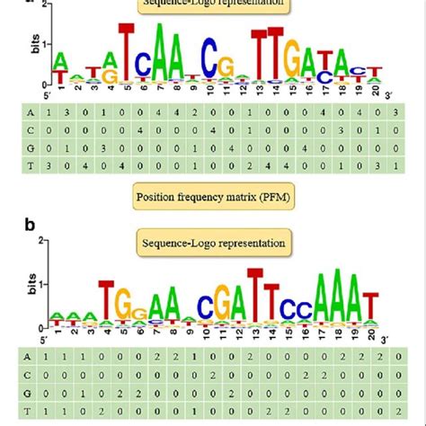 Consensus Sequence Motif Of The Transcription Factor Binding Sites