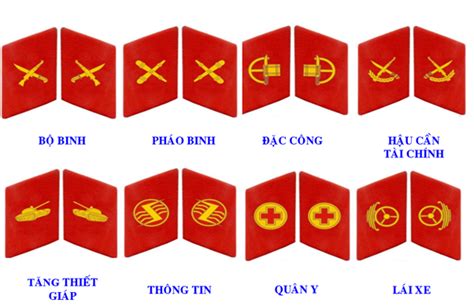 Hành chính VTT